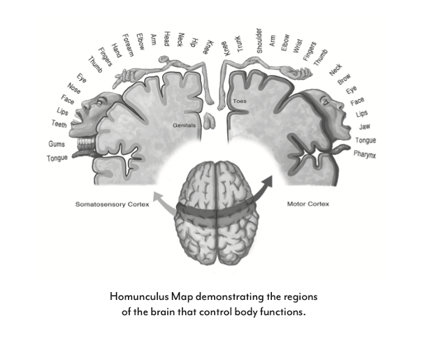 The Personality in Different Astrological Signs - Alicia Blando